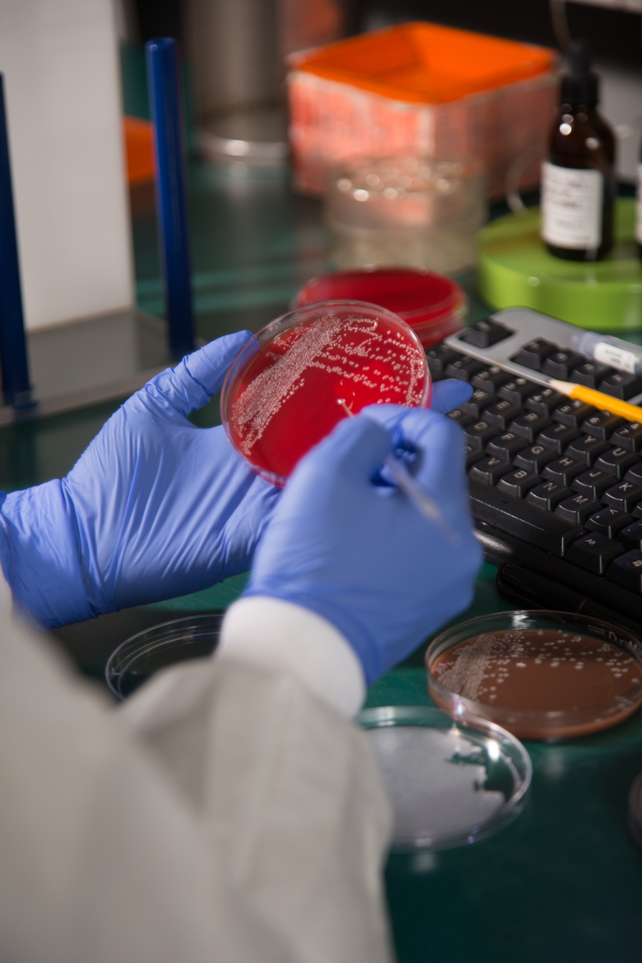 A Complex Labyrinth - Space Coast Living Magazine