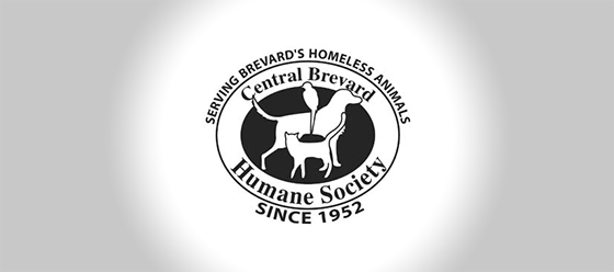 Brevard Humane Society's "Paws on the Catwalk" Fashion Show is sure to ...