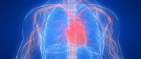 Health First Heart & Vascular Services - Space Coast Living Magazine