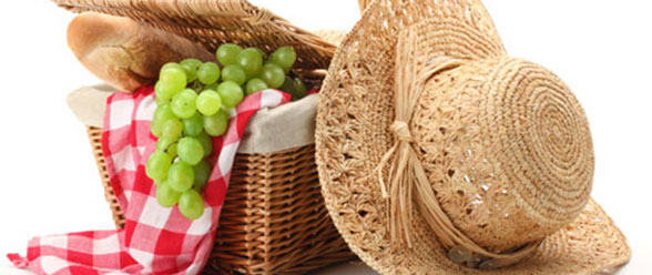 The Perfect Picnic - Space Coast Living Magazine