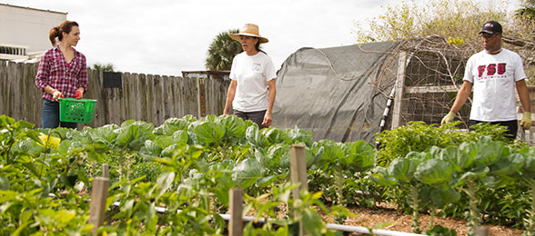 What A Difference Food Makes Community Gardening - Space Coast Living ...