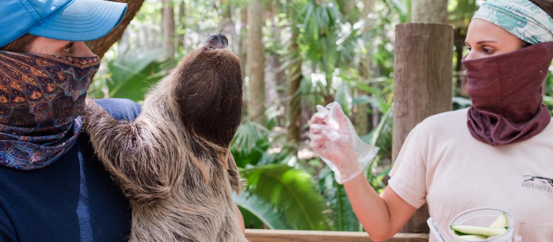 A Lesson From Lockdown: Animals at the Brevard Zoo are Not a Fan of ...